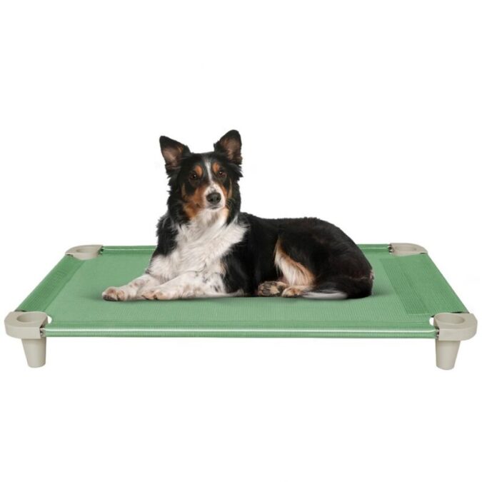 Novo modelo de cama para pets